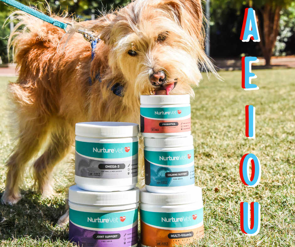 Multi-Vitamins for Dogs - Zinc, Iron,Vitamin-B12, Magnesium - Dog Immu ...