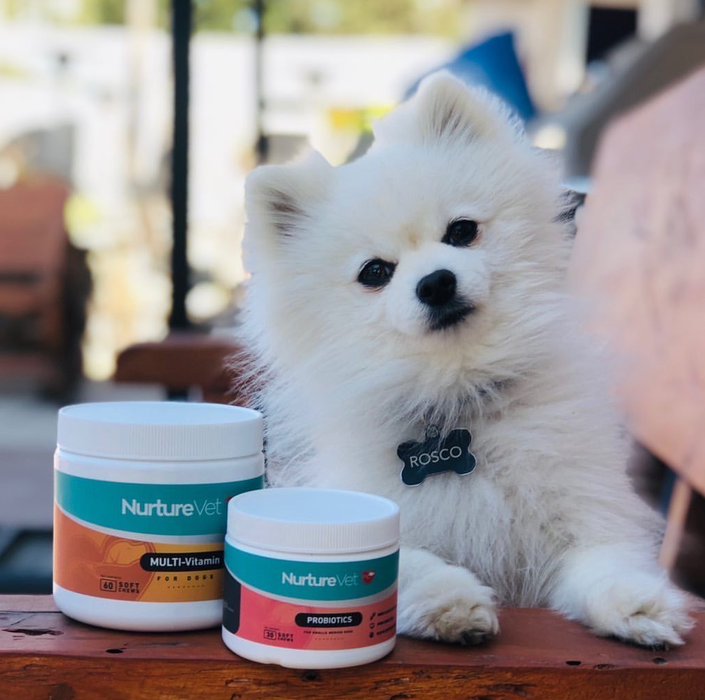 Dog Supplements for Digestion | NurtureVet Probiotics for Dogs