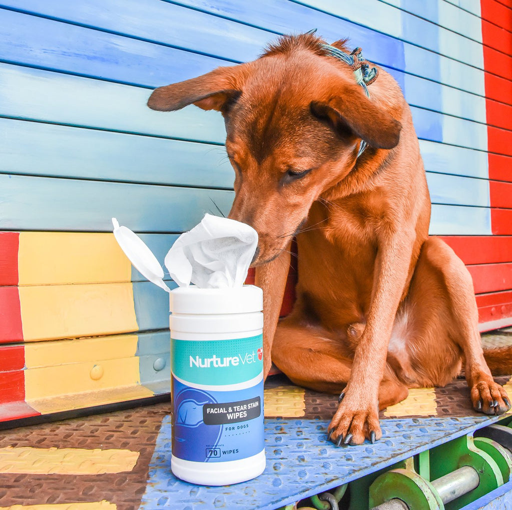 Dog Wipes | Tear Stain, Grooming, Ear, and Dental Wipes – NurtureVet