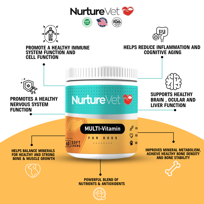 Multi-Vitamins for Dogs - Immune Booster with Zinc, Iron, Vitamin-B12 ...
