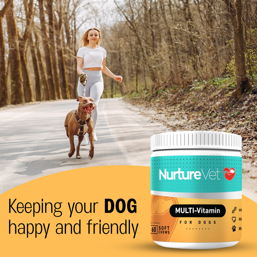 Multi-Vitamins for Dogs - Immune Booster with Zinc, Iron, Vitamin-B12 ...