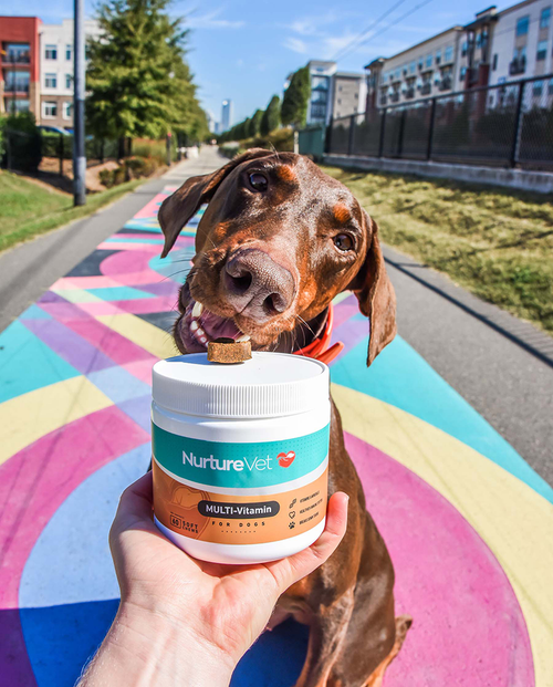 Multi-Vitamins for Dogs - Immune Booster with Zinc, Iron, Vitamin-B12 ...