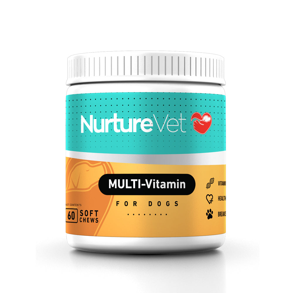 Multi-Vitamins for Dogs - Immune Booster with Zinc, Iron, Vitamin-B12 ...