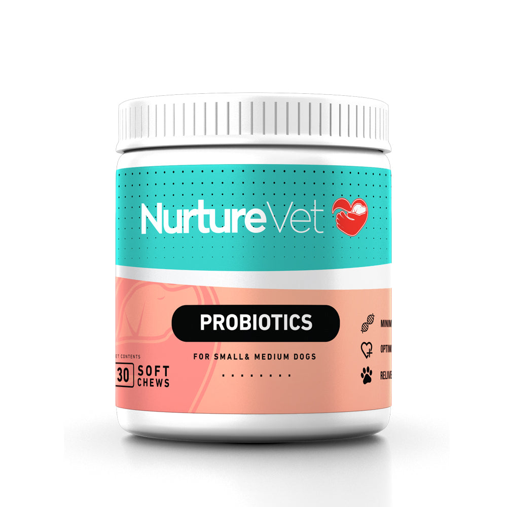 Probiotics for Small & Medium Dogs | Relieve Diarrhea & Constipation ...